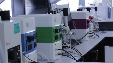 Bioengineering Tissue Lab Faculty Of Engineering The University Of