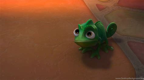 Pascal Wallpapers Wallpaper Cave