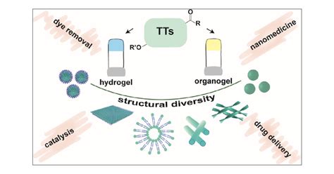 Triterpenoid Building Blocks For Functional Nanoscale Assemblies A Review Acs Applied Nano