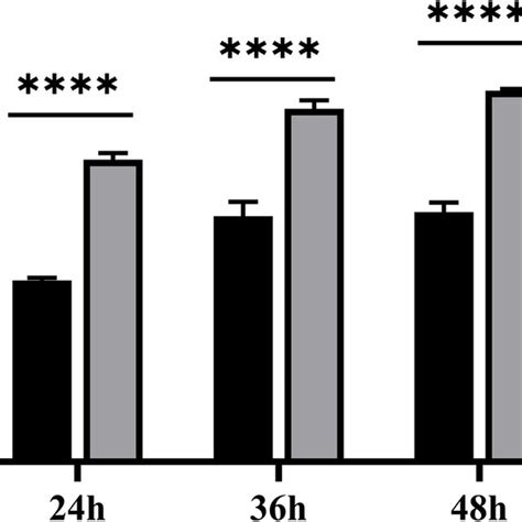 Ifn λ3 Has Antiviral Activity Against Prrsv And Such Inhibition Is