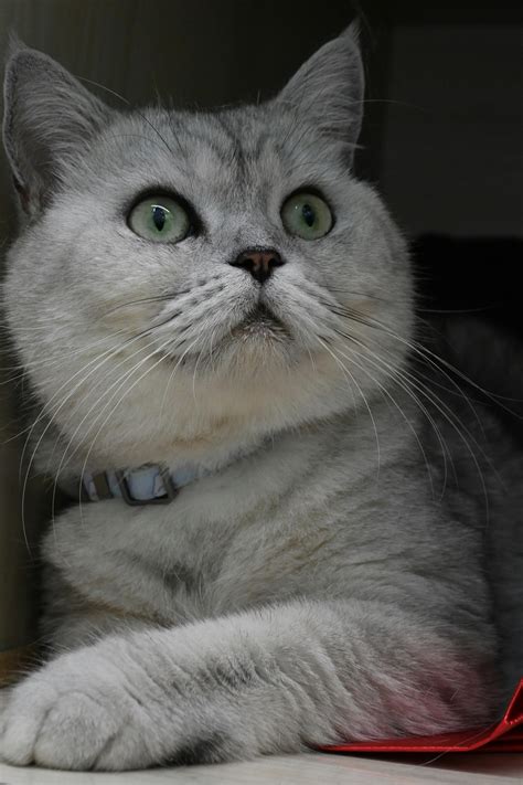 Lapdances Photos Download The Best Free Lapdances Stock