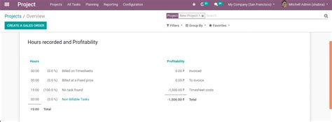 Project Overview Features In Odoo 13