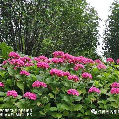 李克强主持召开国务院常务会议 决定加大稳岗促就业政策力度等物流企业保障