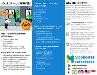 Cross Chain NFT Marketplace Development PPT