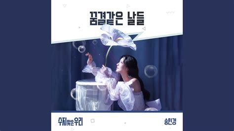 꿈결같은 날들 Youtube