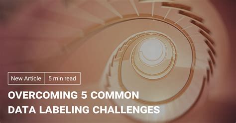 Overcoming 5 Common Data Labeling Challenges Label Your Data