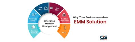 Why Your Business Needs An Emm Solution