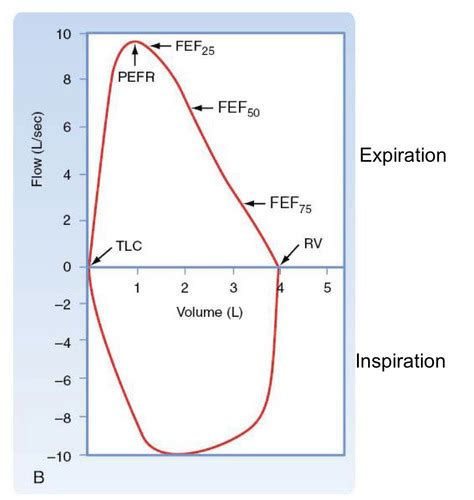 unit 1 respiratory unit flashcards quizlet