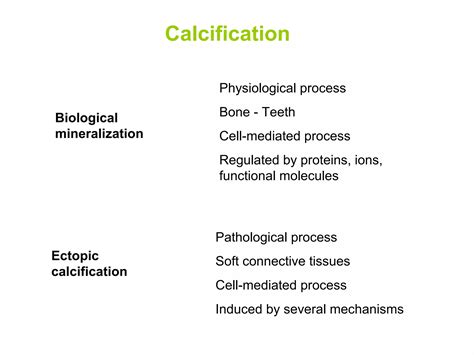 The Role Of Fibroblast In Ectopic Calcification Ppt