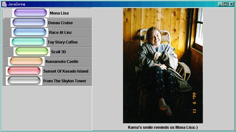 Javaswingexamplenb