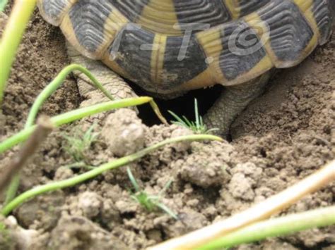 Photo Servimg Com Free Image Hosting Service Photo Servimg Com Free Image Hosting Service