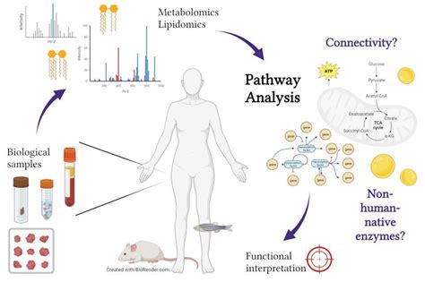 Recentlypublished Metabolomics Lipidomics Biomolecules Mdpi
