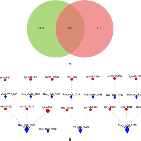 Integrated Analysis Of Differentially Expressed Mirnas And Genes Venn