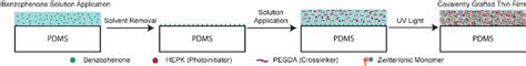 Figure 1 From Antifouling Photograftable Zwitterionic Coatings On Pdms