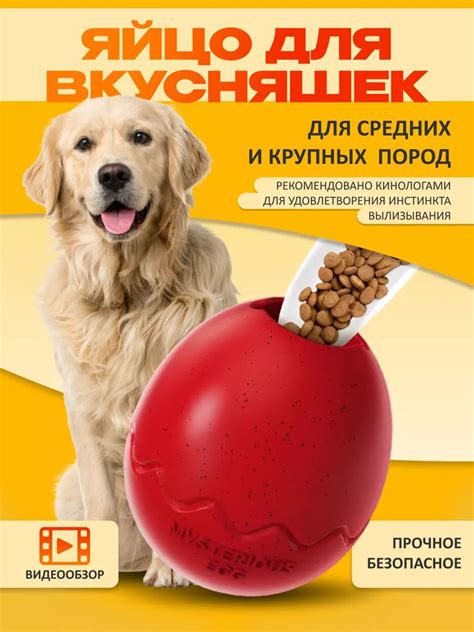 Игрушка для Крупных пород собак Kong купить на OZON по низкой цене ...