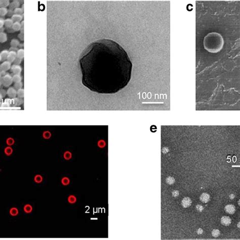 Pdf Ion Selective Optodes From The Bulk To The Nanoscale