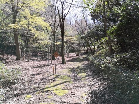 笠原富士 潮見の森山頂コース の登山コースや駐車場 注意ポイント 岐阜県多治見市笠原