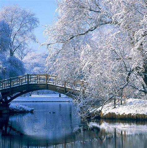 Хороскоп за утре 30 януари СКОРПИОН Успешни контакти ДЕВА Добър късмет За Жената