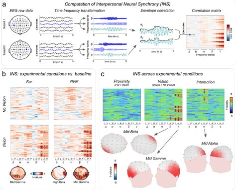 Figure 2 From Spontaneous Dyadic Behavior Predicts The Emergence Of Interpersonal Neural