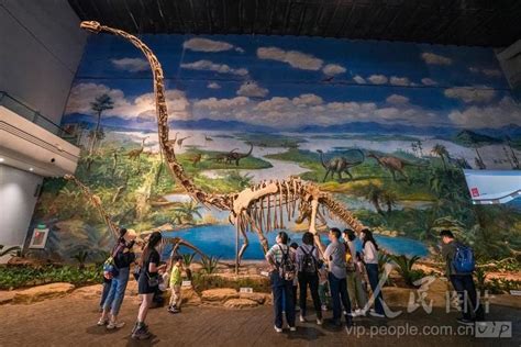 四川自贡：恐龙博物馆里享周末 人民图片网