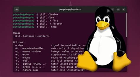 Find And Kill A Process Using A Port On Linux Pi My Life Up