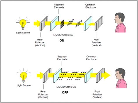 LCD Display Fundamentals Liquid Crystal Display Working