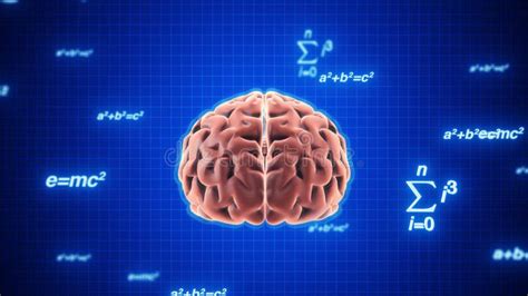 Animation Of Rotating Brain And Math Formulas On Blue Background Stock Footage Video Of
