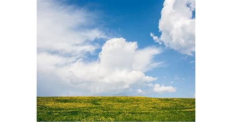 Предимно слънчево с купести облаци следобед Български Фермер