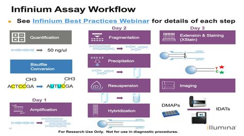 Illumina Infinium Methylation Analysis And Reporting Review Youtube