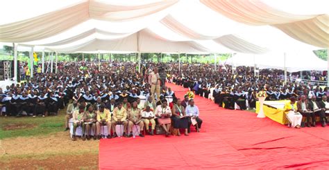 Court Allows Auction Of Matili Tvet Assets Amid Fraud Claims The