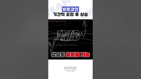 비트코인 당장 하락한다고 해서 공포에 휩싸이지 않아도 될 것 같습니다 1 Youtube