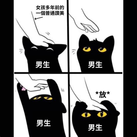 我算是一個還蠻能抓圖意的人 不管大圖小圖好梗壞梗爛梗 我幾乎都能get到 但今天在各種梗圖中發現夾了張我看不懂的圖 這是代表男生多年後又去跟女孩要讚美？ 還是🫠