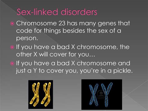 Genes And Chromosomes Too… Ppt Download