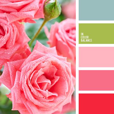 розовый и красный | IN COLOR BALANCE