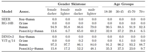 DINOv2 Visual Feature Learning Without Supervision
