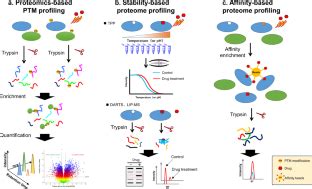 药物发现中翻译后修饰的蛋白质组学表征 Acta Pharmacologica Sinica X MOL