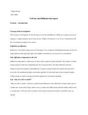 Cell Size And Diffusion Lab Report Docx Sophie Riveira BSC1005L Cell Size And Diffusion Lab