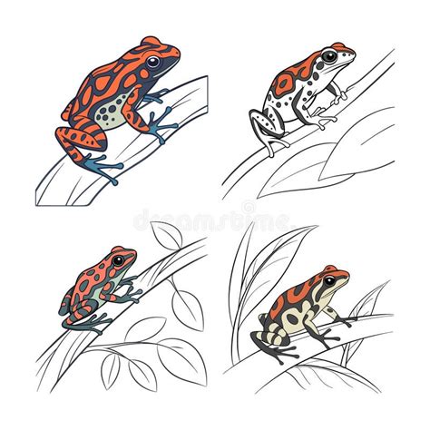 Variable Harlequin Toad Stock Illustrations 12 Variable Harlequin