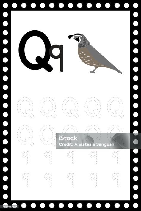 문자 Q 소문자 워크시트 어린이 교육 메추라기 그림 벡터 조판 알파벳순 글꼴 유치원 훈련 0명에 대한 스톡 벡터 아트 및 기타 이미지 Istock