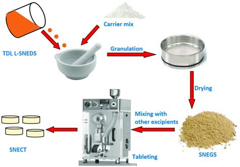 Preparation Steps Of Tadalafil Loaded Self Nanoemulsifying Chewable Download Scientific Diagram