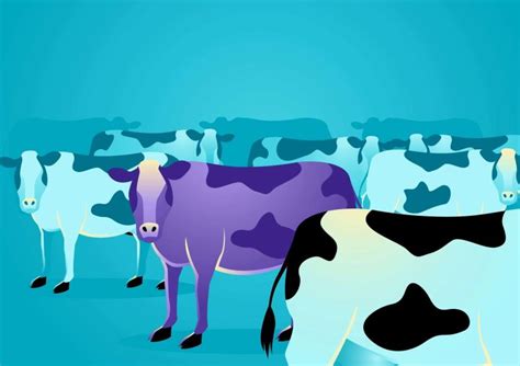 Digitalmarketing Mohammed Ziyan