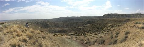 Tiny Fossils Big Insight How We Can Use Fossil Pollen To Understand Earths Climate History