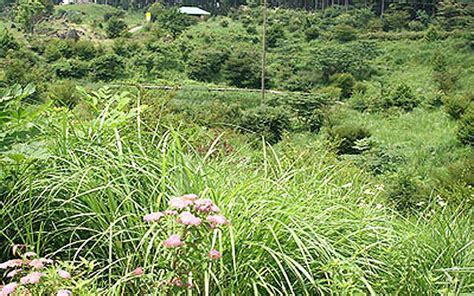 園内マップ 富士山こどもの国 公式サイト 富士山のふもとは楽しい冒険王国だ