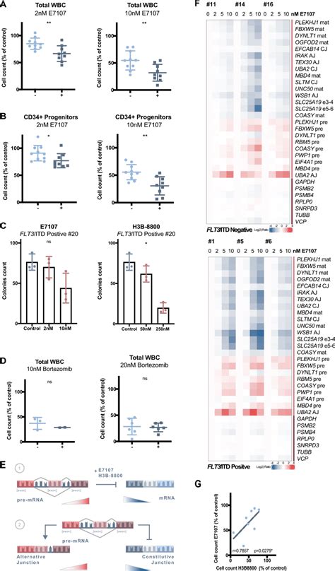 Response Of Primary Aml Cells With Or Without Flt3itd To Splicing