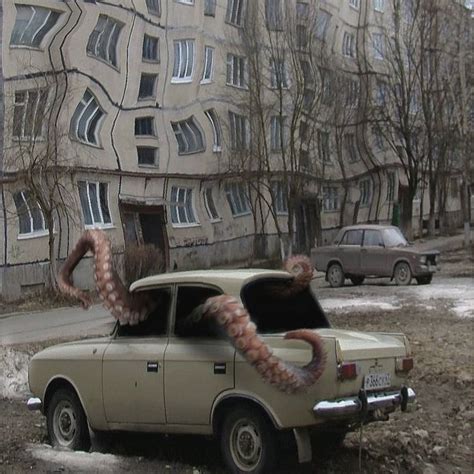 ໒੭ु ˶ᵔ ᵕ ᵔ˶꒱ྀི੭ ⊹ ˖࣪ ∗˳ ⁺ ⁎˚ How Are You Shocking People