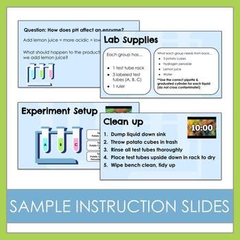 Enzyme Lab Potato By The Tropical Science Teacher TPT