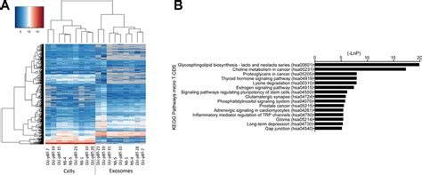 Mirna Distribution And Targeted Pathways A Hierarchical Clustering