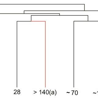 Dendrogram Of The Hierarchical Clustering Analysis To Compare Floristic
