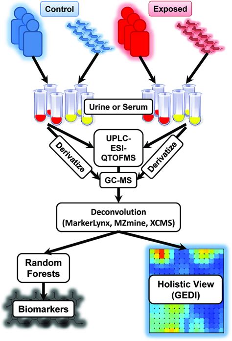Figure 1 From The Role Of Mass Spectrometry Based Metabolomics In