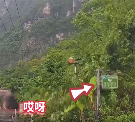 男子雨天惊险驾车20秒，3次遇山上滚落巨石，自嘲：现实版死里逃生